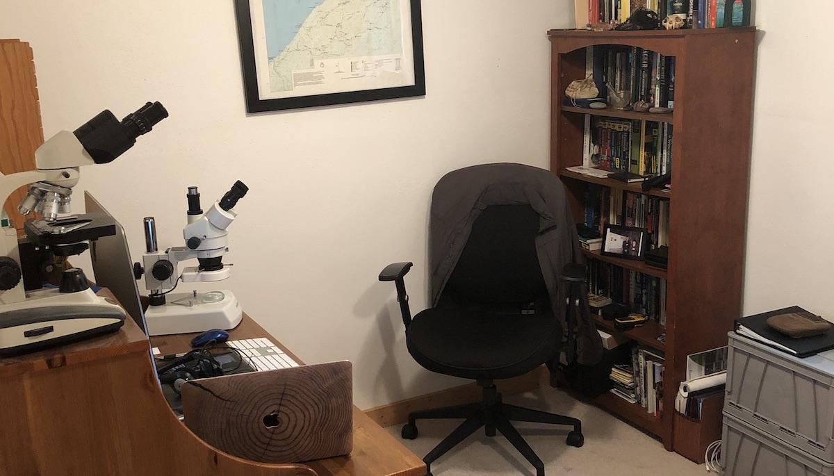 Insect Diagnostics in the Age of COVID-19 - UW Insect Diagnostic Lab