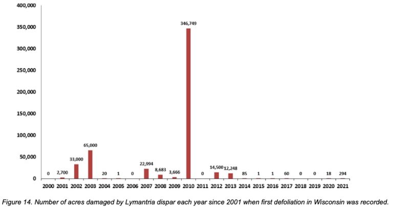 Spongy moth: an old pest with a new name