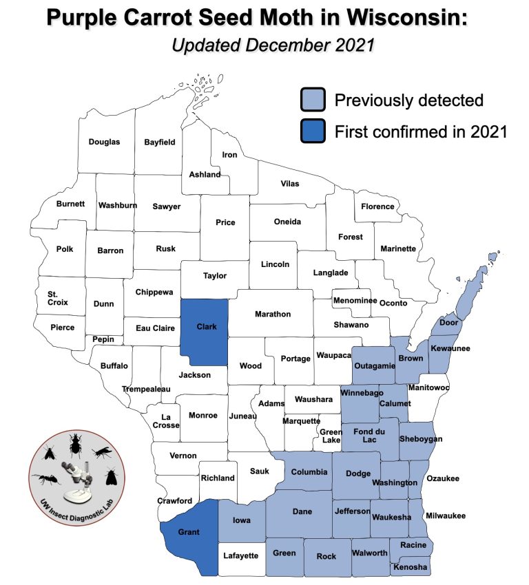 Wisconsin Invasive Insect Maps - Insect Diagnostic Lab