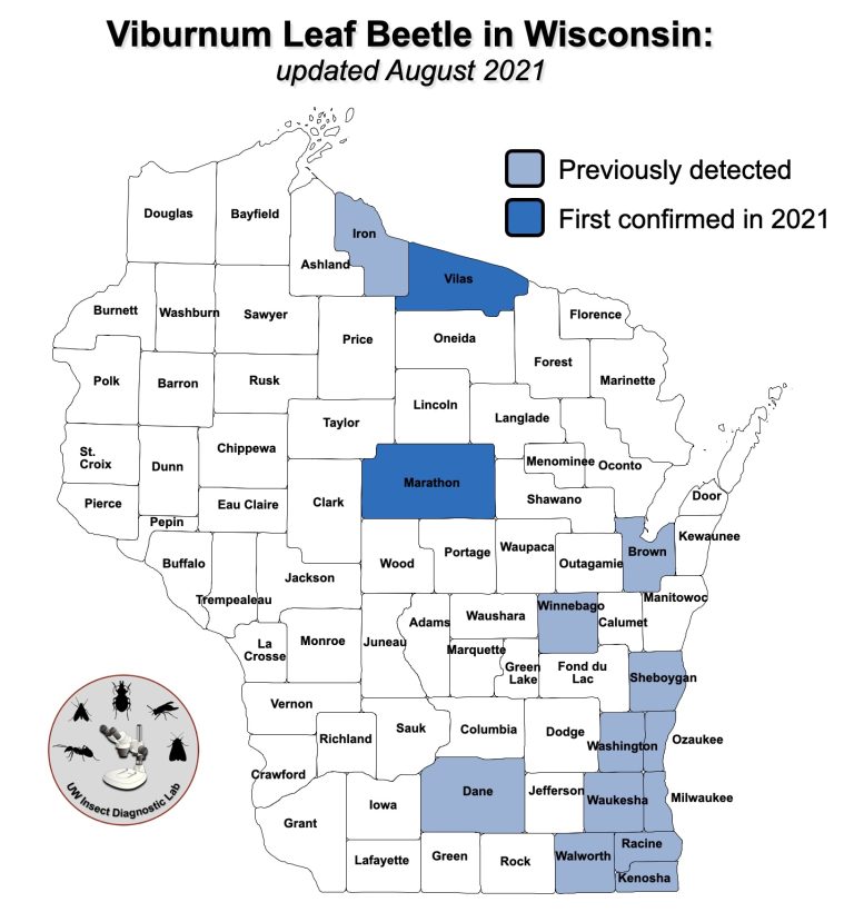 Wisconsin Invasive Insect Maps - Insect Diagnostic Lab