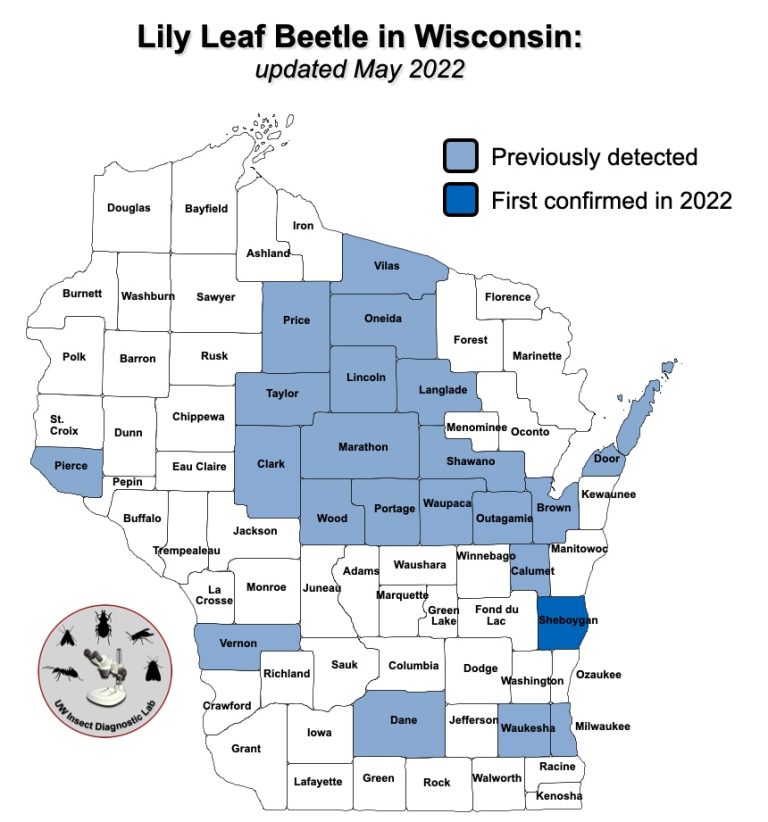 Wisconsin Invasive Insect Maps - Insect Diagnostic Lab