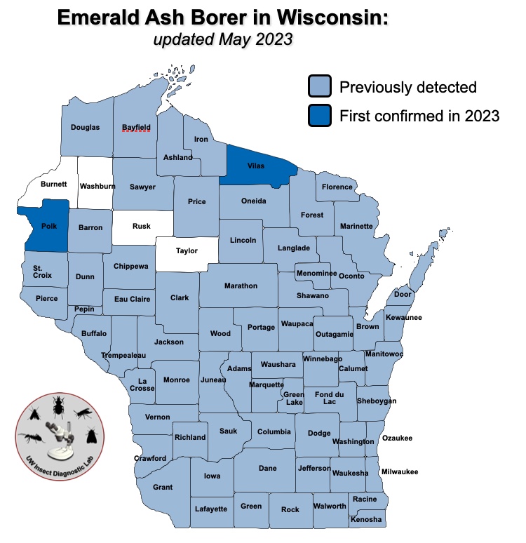 Wisconsin Invasive Insect Maps - Insect Diagnostic Lab