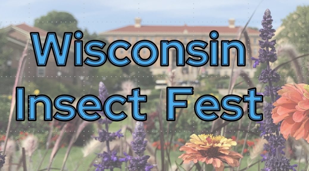 UW Insect Diagnostic Lab - Wisconsin Insect Identification