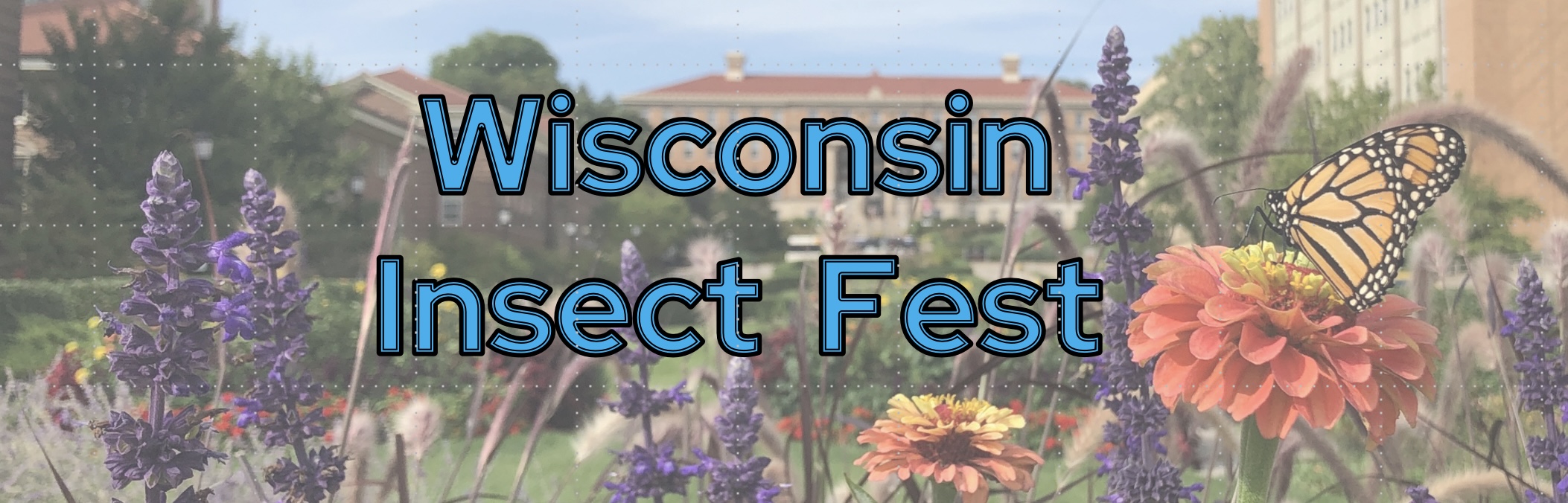 Wisconsin Insect Fest Comes to Upham Woods - August 2023