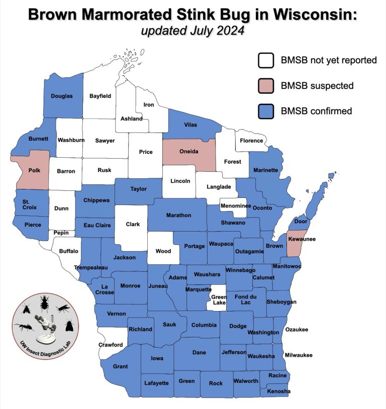 Wisconsin Invasive Insect Maps - Insect Diagnostic Lab