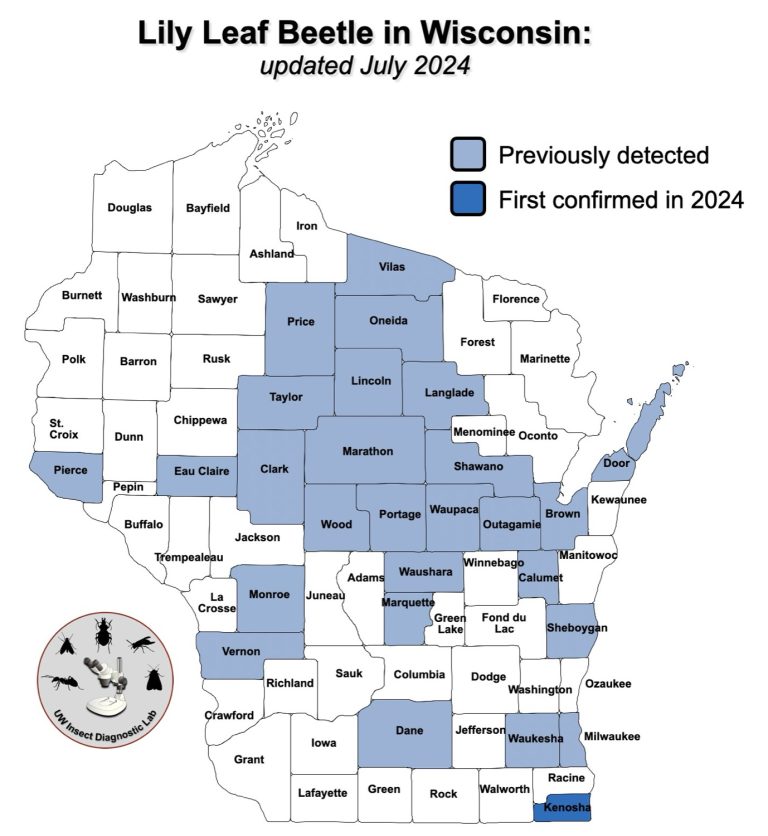 Wisconsin Invasive Insect Maps - Insect Diagnostic Lab