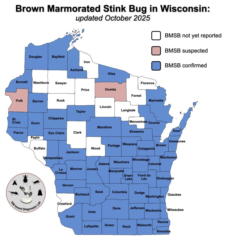 Wisconsin Invasive Insect Maps - Insect Diagnostic Lab